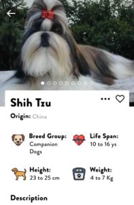 12 Free Dog Breed Identifier Apps 2025 (Android & iOS) | Freeappsforme ...