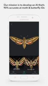 9 Best Butterfly Identification Apps for Android & iOS | Freeappsforme ...