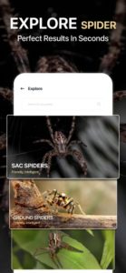 8 Best Spider Identification Apps for Android & iOS | Freeappsforme ...
