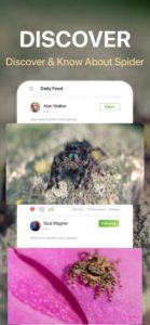 7 Best Spider Identification Apps for Android & iOS | Freeappsforme ...