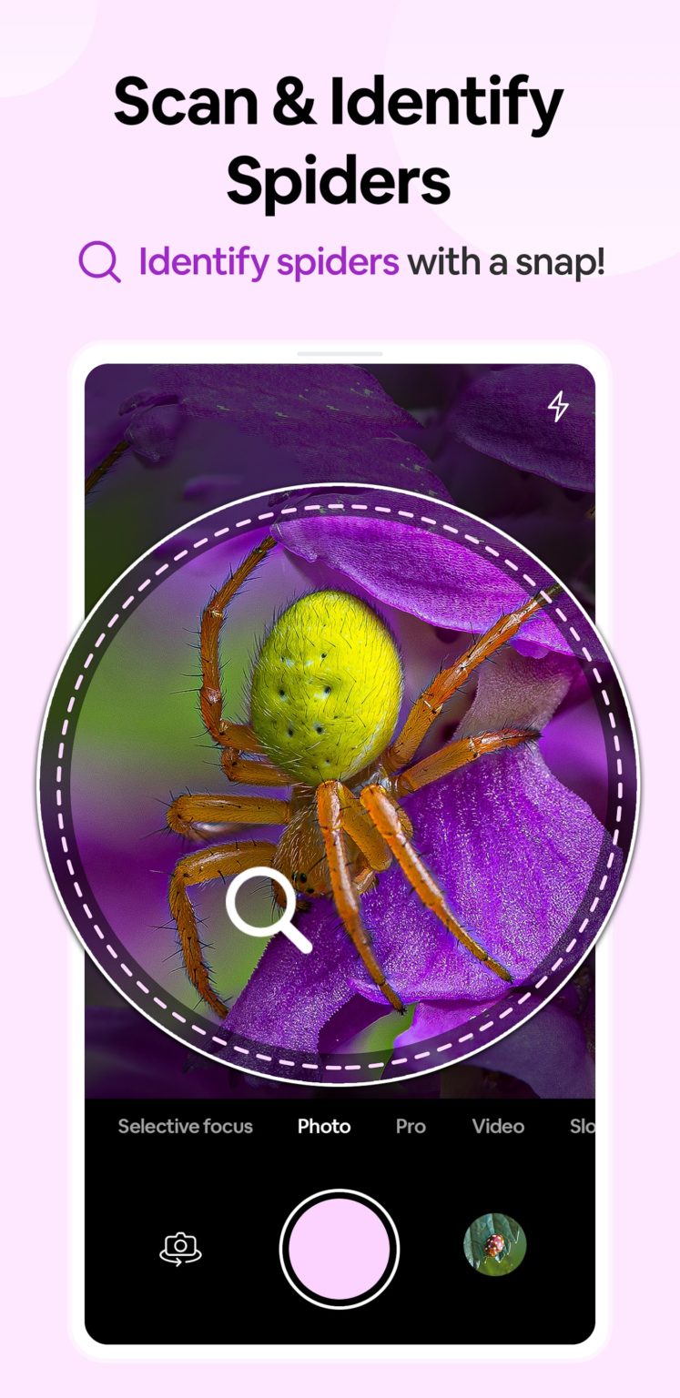 8 Best Spider Identification Apps for Android & iOS | Freeappsforme ...