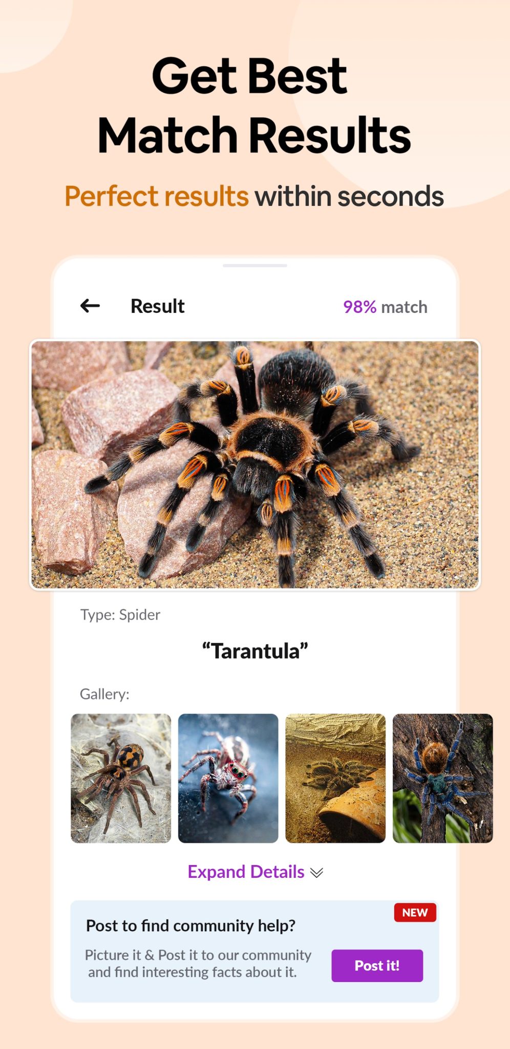 8 Best Spider Identification Apps for Android & iOS | Freeappsforme ...