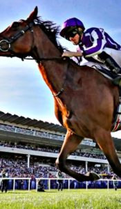 11 Free Apps to Watch Horse Racing on Android & iOS | Freeappsforme ...