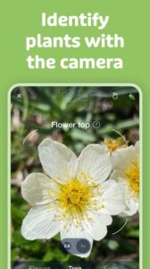 6 Free Flower Identification Apps for Android & iOS | Freeappsforme ...