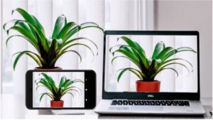 12 Best Webcam Apps for Android & iOS | Freeappsforme - Free apps for ...