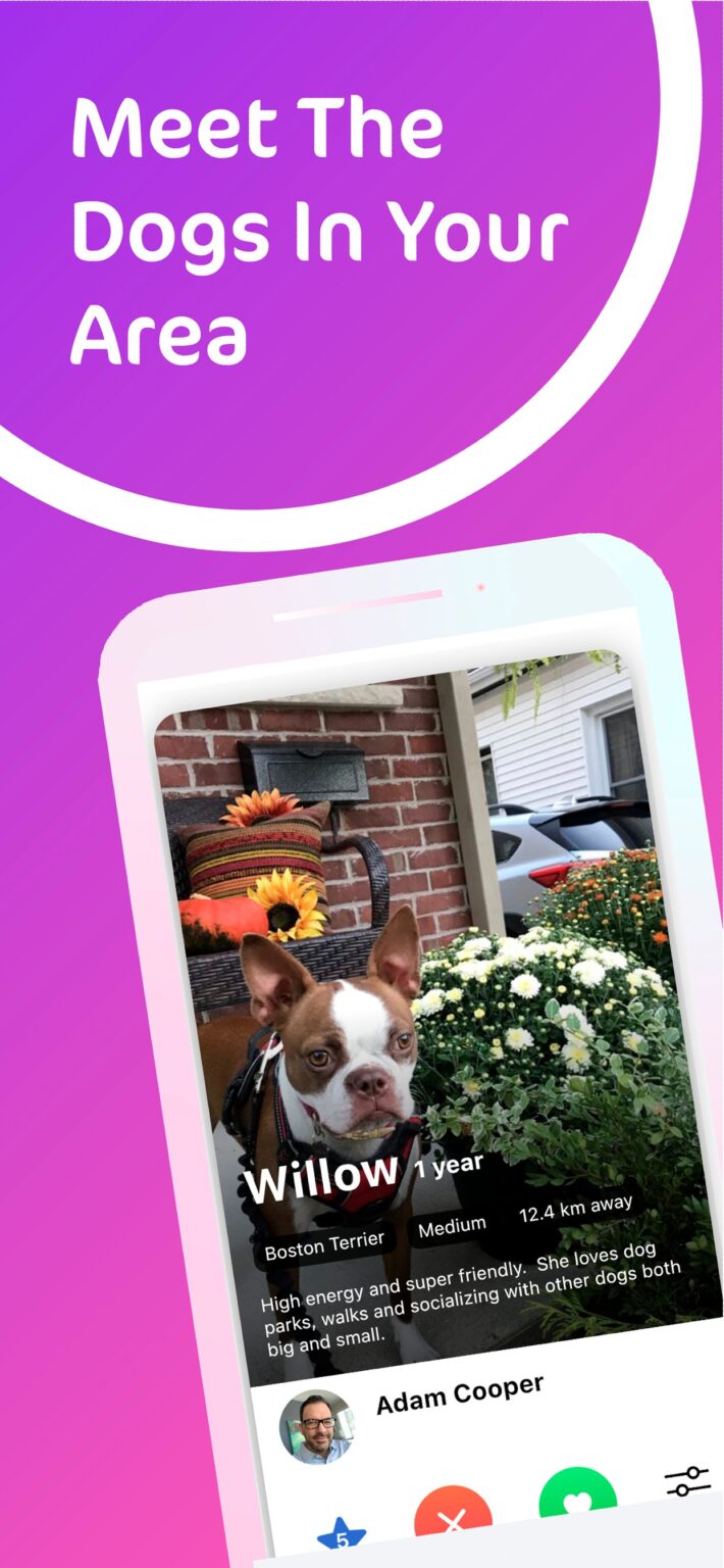 7 Best “Tinder-Like” Dating Apps for Dogs | Freeappsforme - Free apps ...