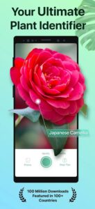 6 Free Flower Identification Apps for Android & iOS | Freeappsforme ...