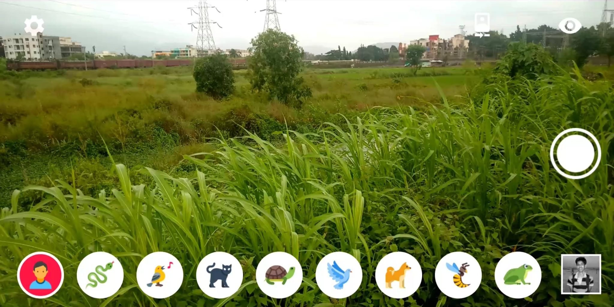 5 Best Dog Vision Filter Apps for Android & iOS | Freeappsforme - Free ...