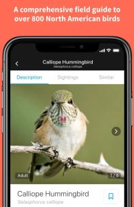 15 Best Free Birding Apps in 2025 for Android & iOS | Freeappsforme ...