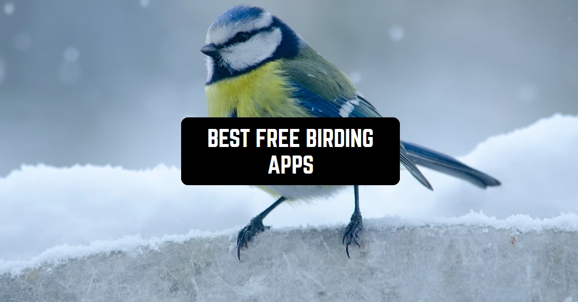 15 Best Free Birding Apps in 2025 for Android & iOS | Freeappsforme ...