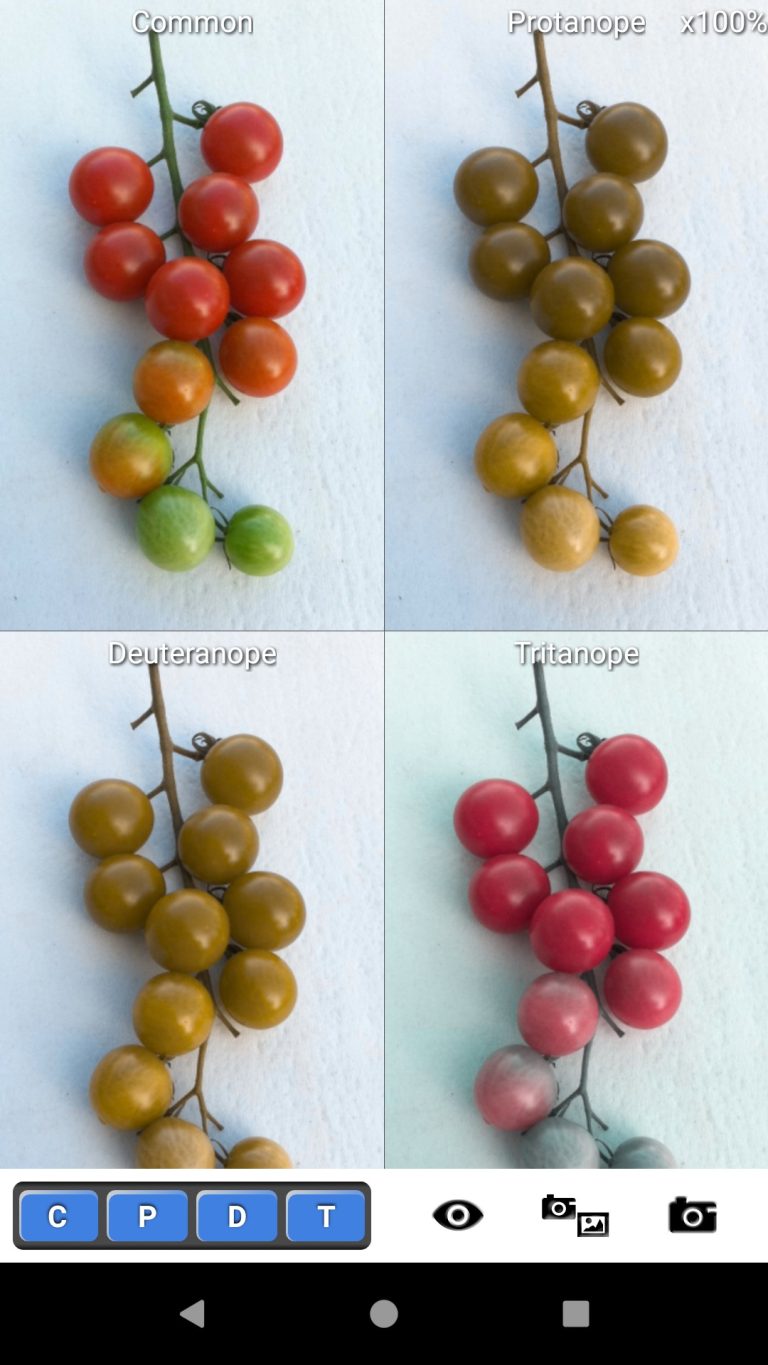 5 Best Dog Vision Filter Apps for Android & iOS | Freeappsforme - Free ...