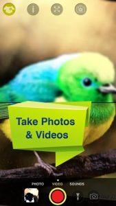 5 Best Dog Vision Filter Apps for Android & iOS | Freeappsforme - Free ...