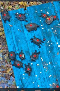 11 Best Apps To Count Objects From Picture For Android & iOS ...