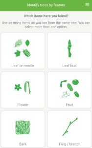 9 Apps to Identify Wood by Picture (Android & iOS) | Freeappsforme ...